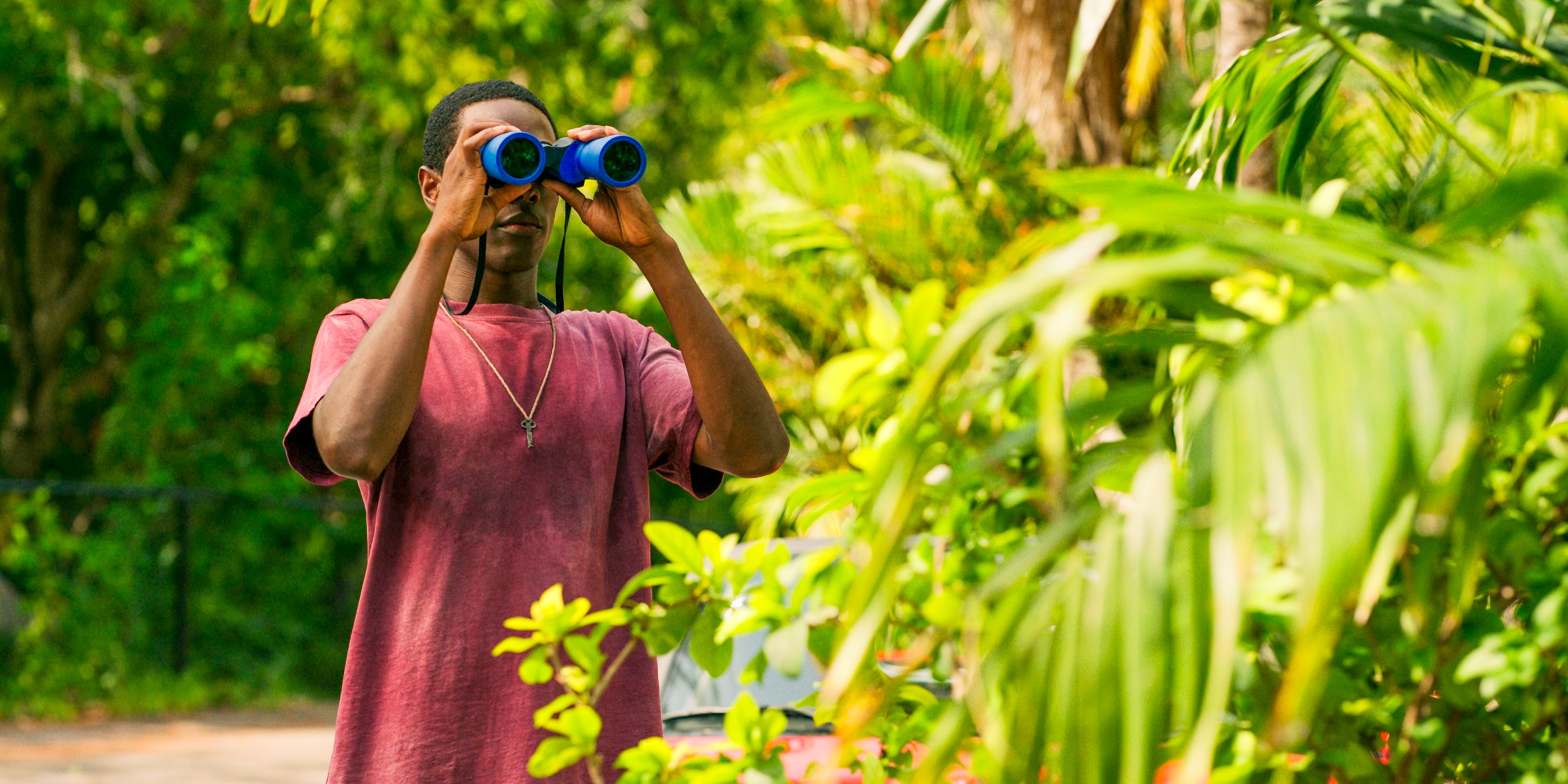 Bad Monkey Summary, Trailer, Cast, and More