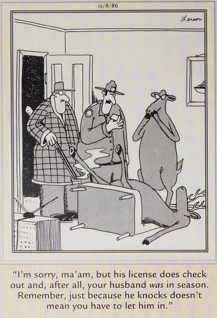 If Your Friends Don’t Laugh At These 10 Absurd Far Side Comics, Are ...