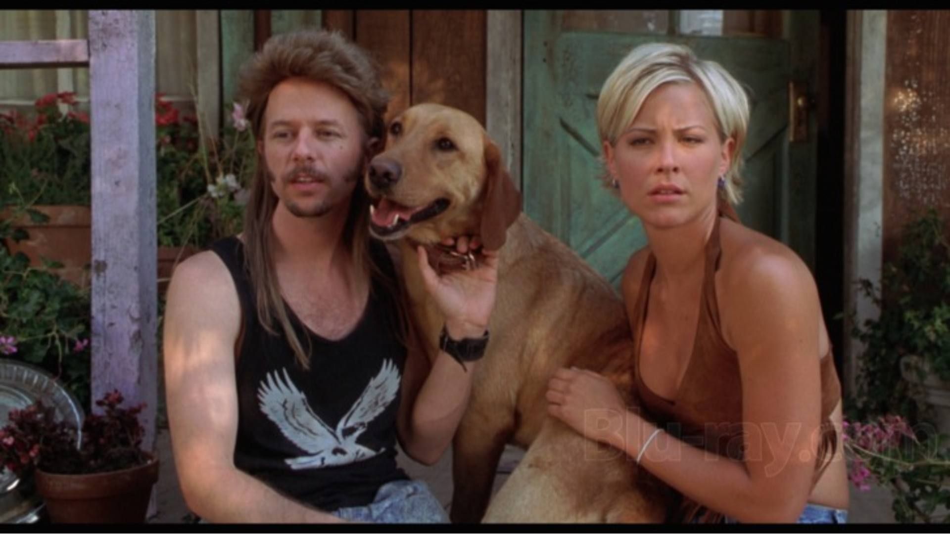 Joe Dirt Summary, Latest News, Trailer, Cast, Where to Watch and More