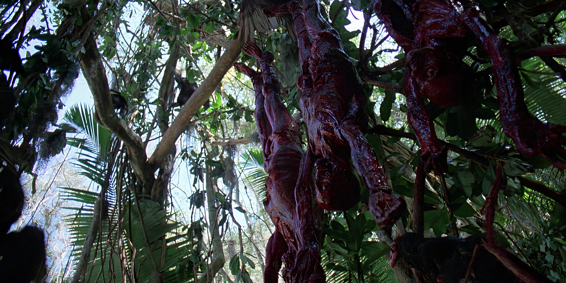 Predator Summary, Trailer, Cast, and More