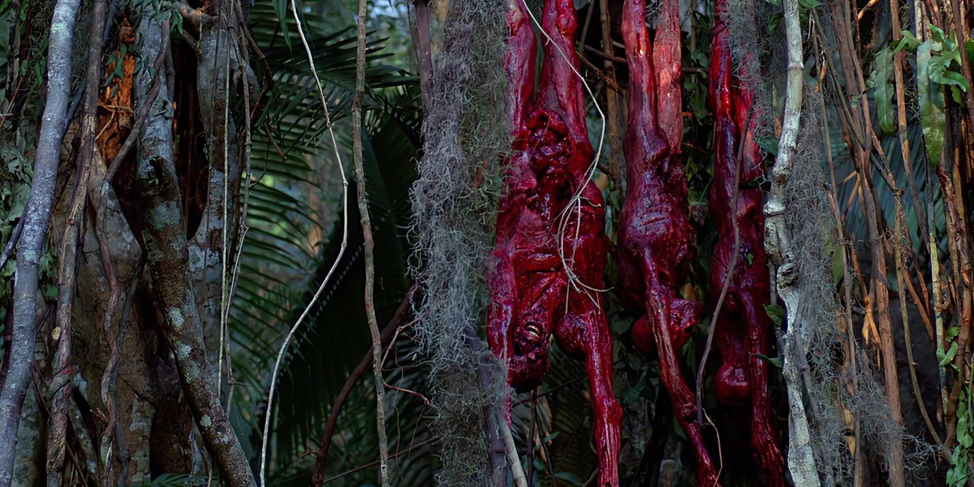 Predator Summary, Trailer, Cast, and More