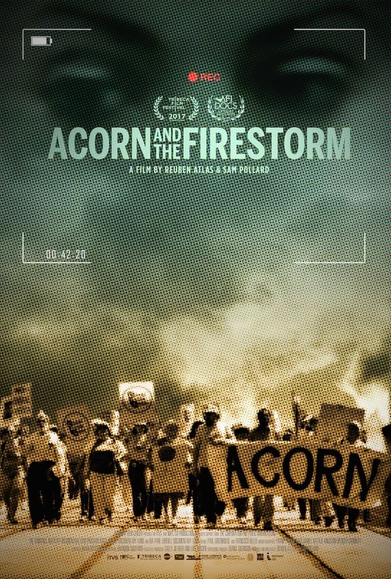Acorn and the Firestorm Summary, Latest News, Trailer, Cast, Where to ...