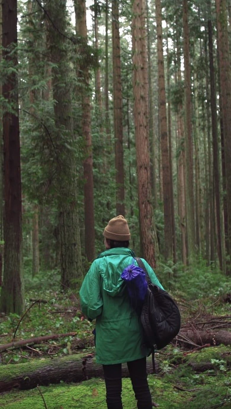 Forest Movie Summary, Latest News, Trailer, Cast, Where to Watch and More