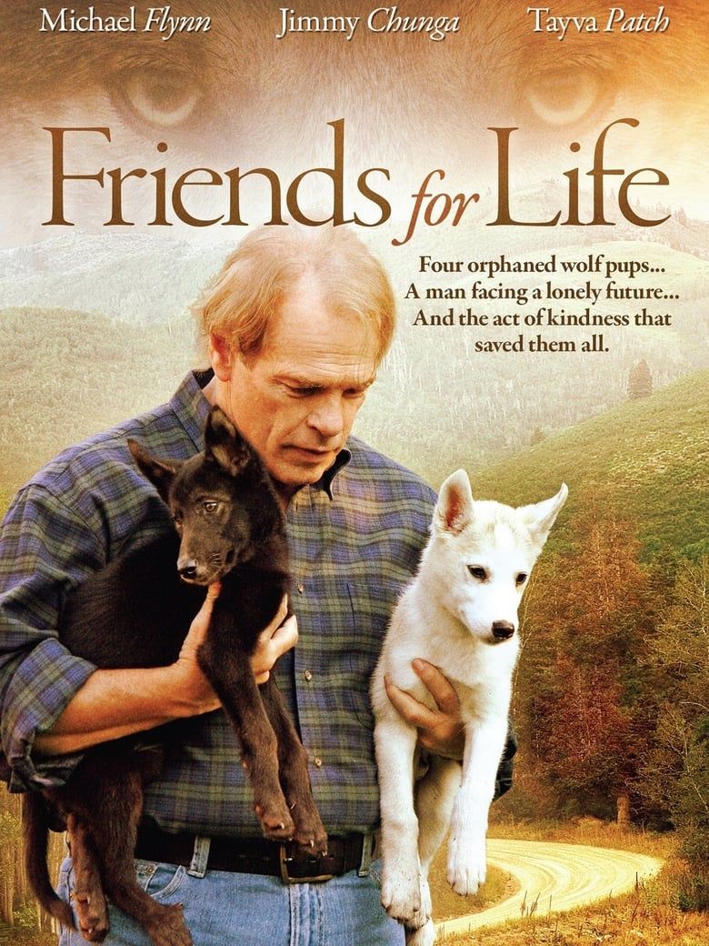 Friends for Life Summary, Latest News, Trailer, Cast, Where to Watch ...