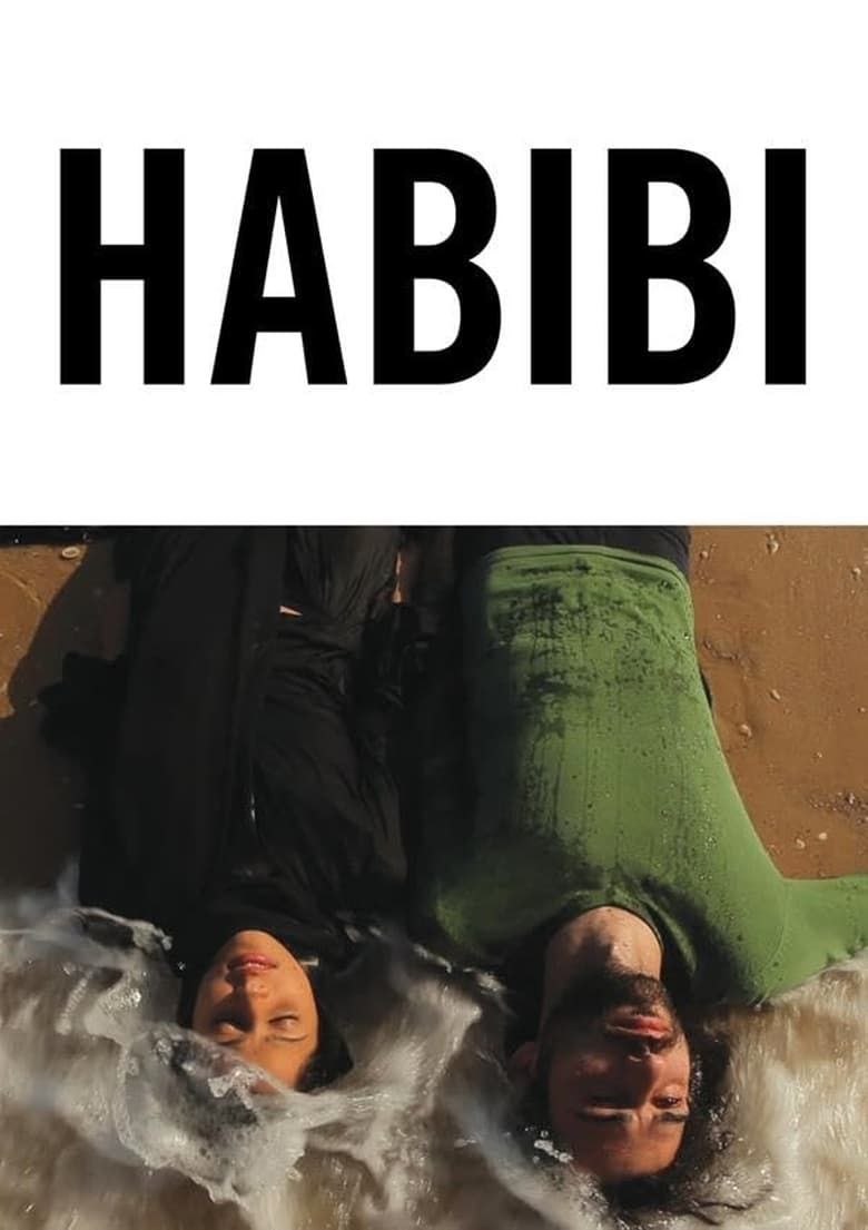 Habibi Summary, Latest News, Trailer, Cast, Where to Watch and More
