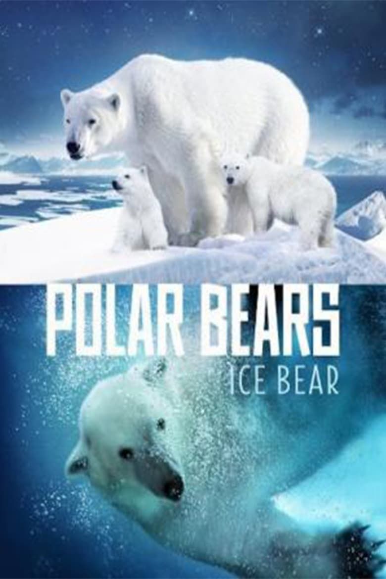 Polar Bears: Ice Bear Summary, Latest News, Trailer, Cast, Where to ...