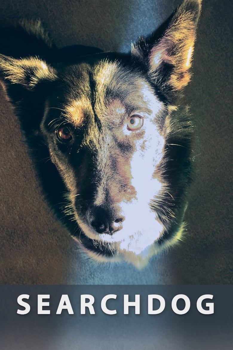Searchdog Summary, Latest News, Trailer, Cast, Where to Watch and More