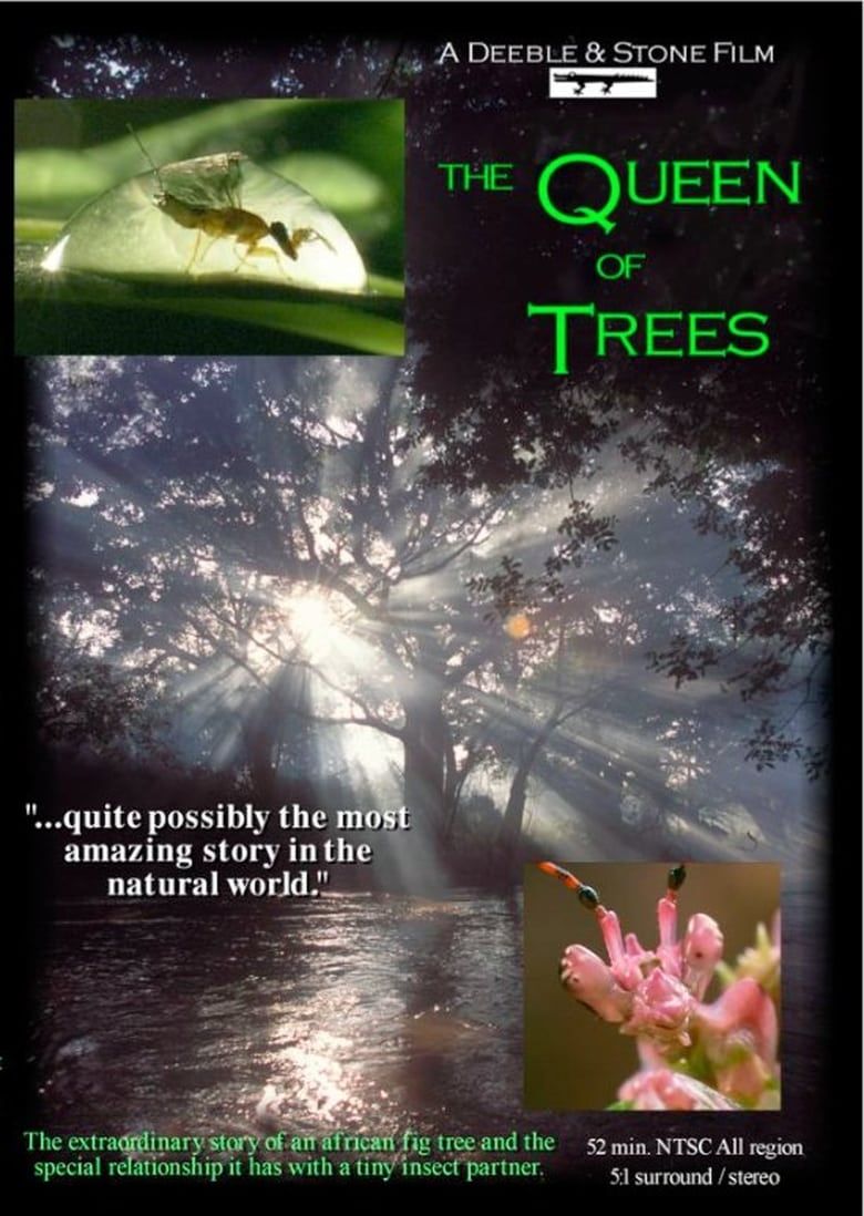 The Queen of Trees Summary, Latest News, Trailer, Cast, Where to Watch ...