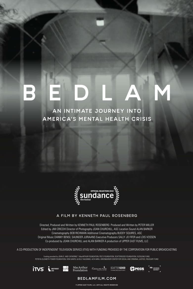 Bedlam Summary, Latest News, Trailer, Cast, Where to Watch and More