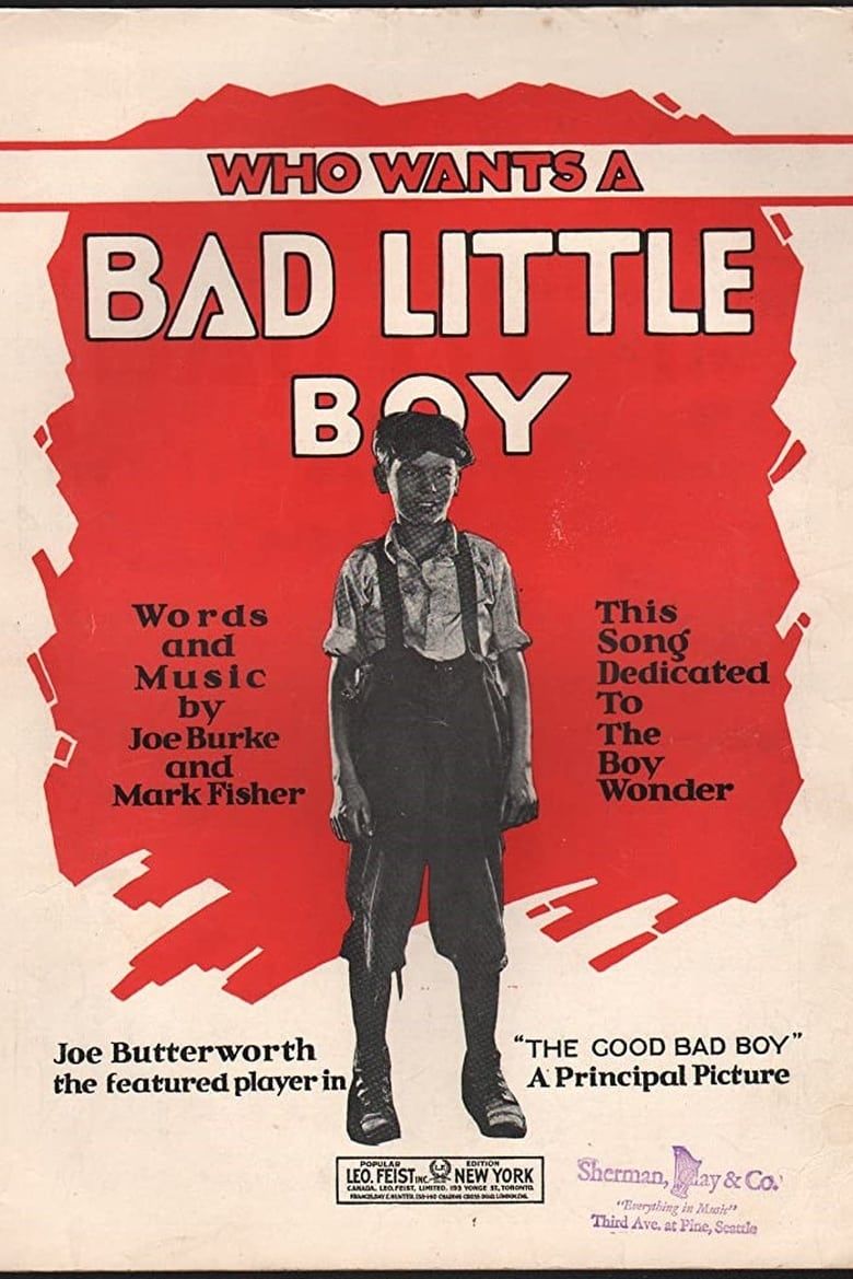 The Good Bad Boy Summary, Latest News, Trailer, Cast, Where to Watch ...