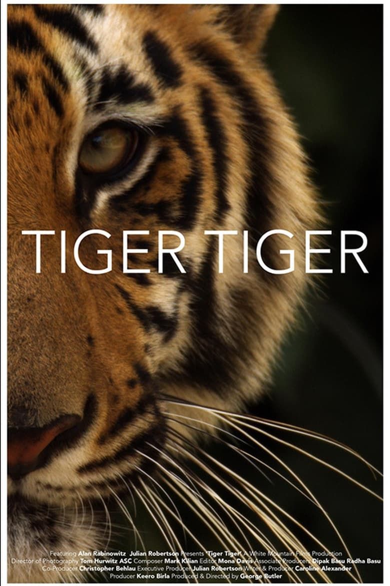 Tiger Tiger Summary, Latest News, Trailer, Cast, Where to Watch and More