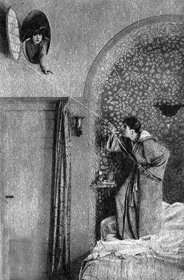 Triplepatte Summary, Latest News, Trailer, Cast, Where to Watch and More