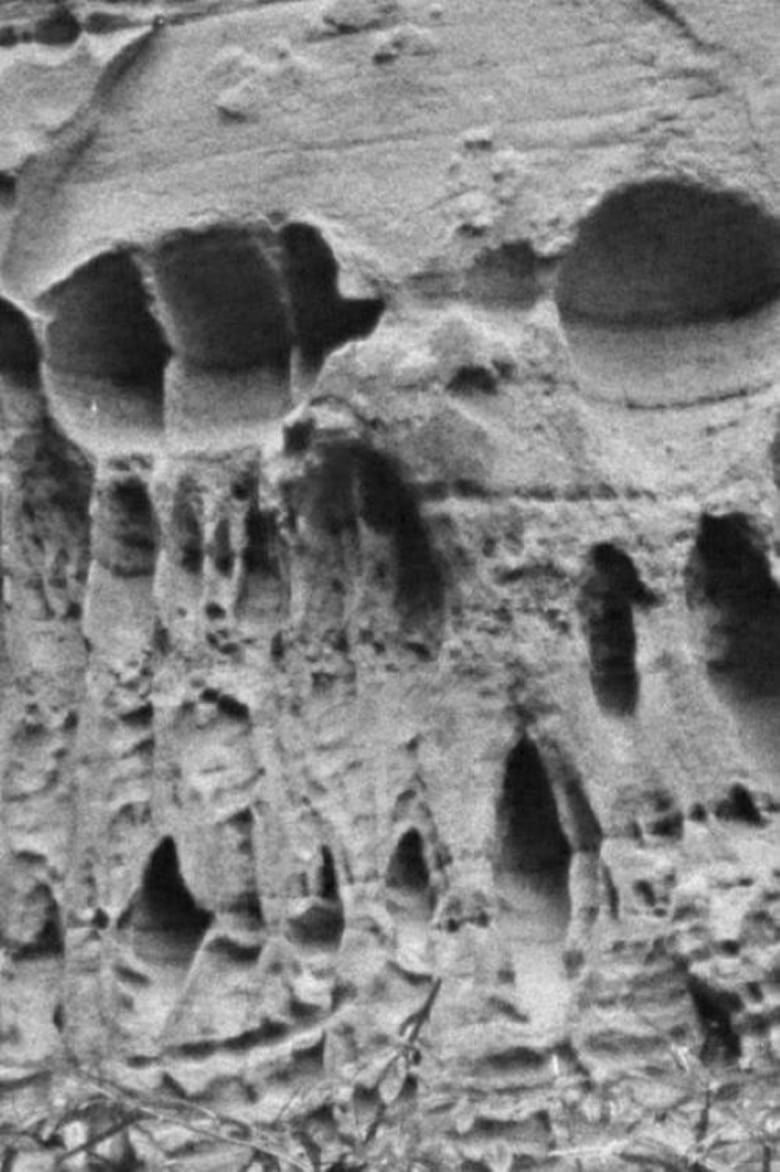 Ghost Strata Summary, Latest News, Trailer, Cast, Where to Watch and More