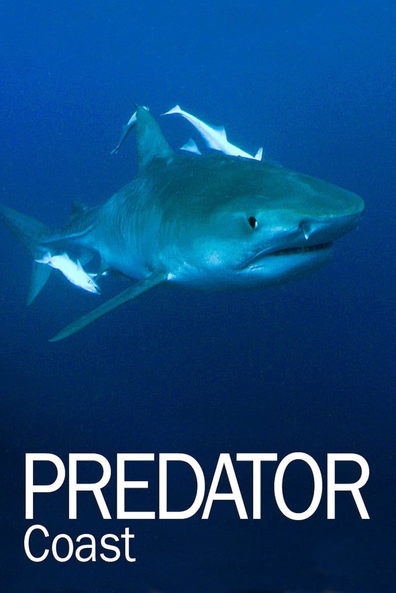 Predator Coast Summary, Latest News, Trailer, Cast, Where to Watch and More