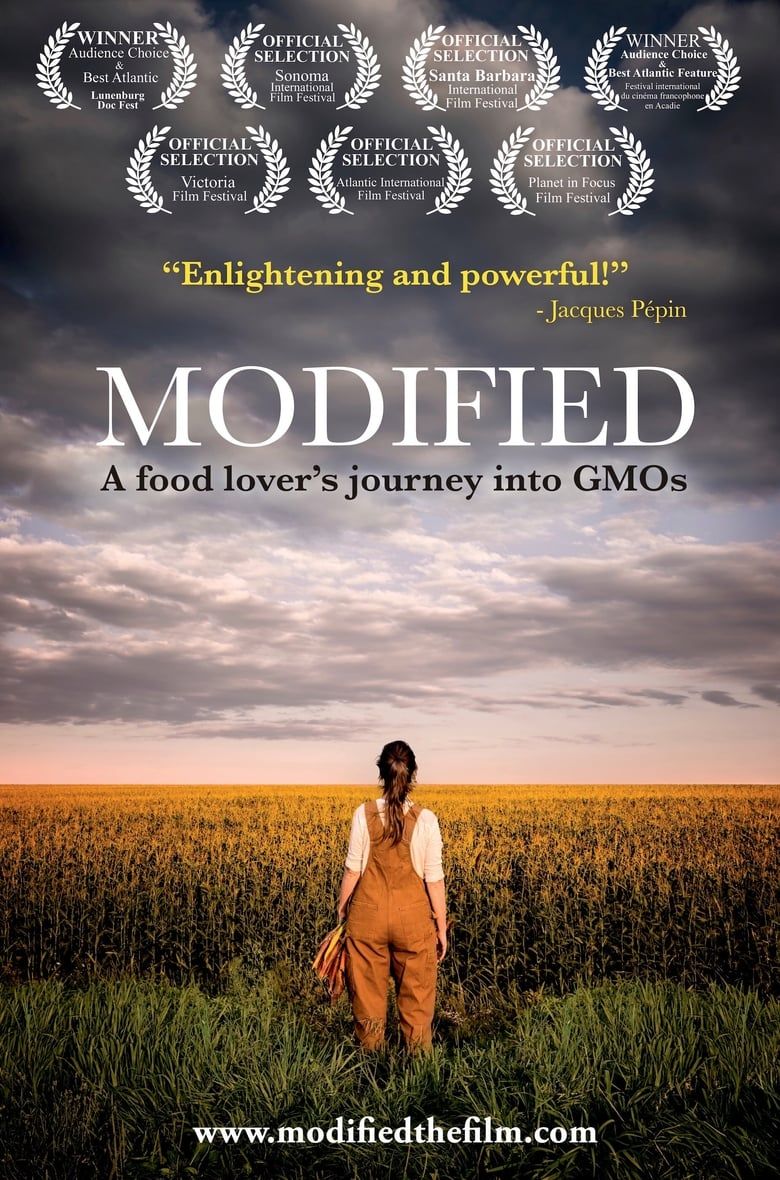 Modified Summary, Latest News, Trailer, Cast, Where to Watch and More