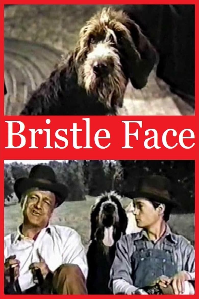 Bristle Face Summary, Latest News, Trailer, Cast, Where to Watch and More