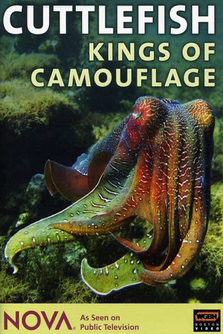 Cuttlefish: Kings of Camouflage Summary, Latest News, Trailer, Cast ...