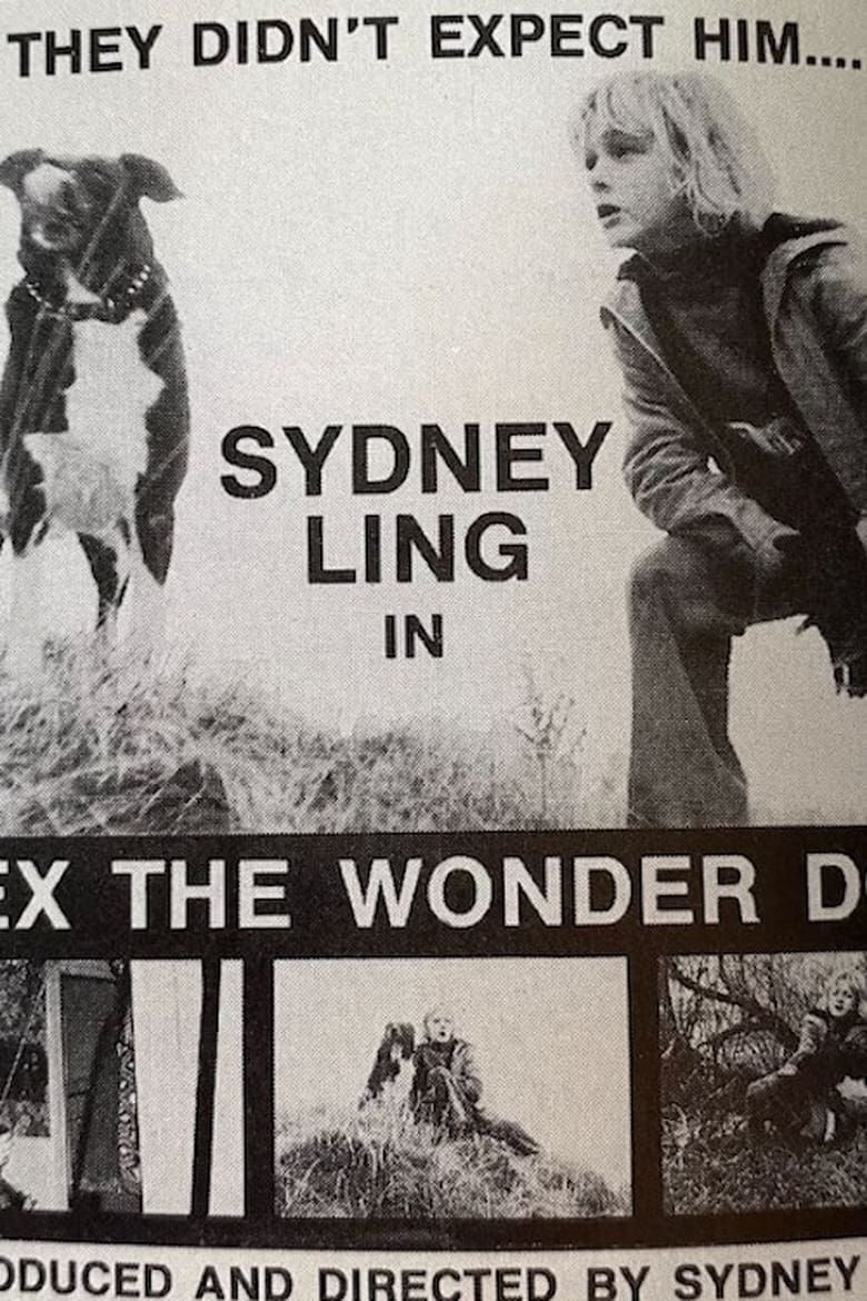 Lex, the Wonder Dog Summary, Latest News, Trailer, Cast, Where to Watch ...