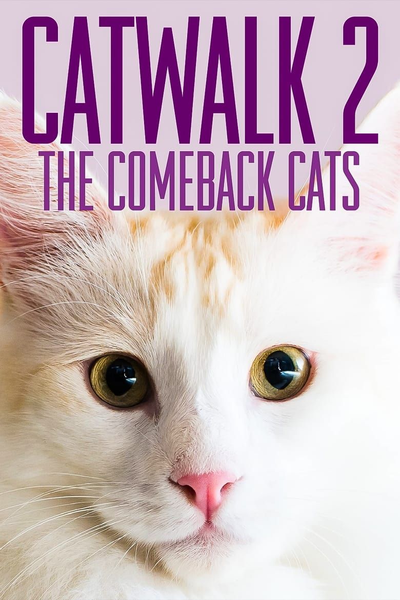 Catwalk 2: The Comeback Cats Summary, Latest News, Trailer, Cast, Where ...