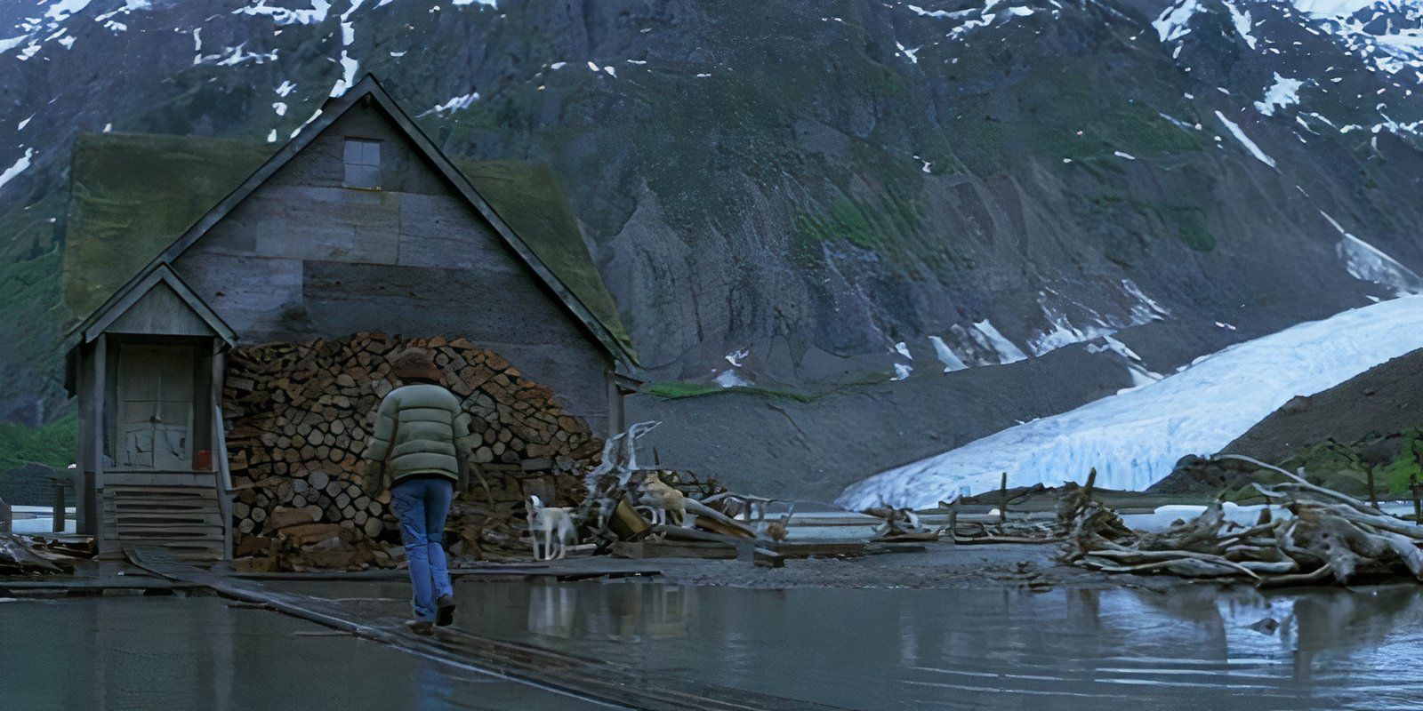 Insomnia Summary, Trailer, Cast, and More