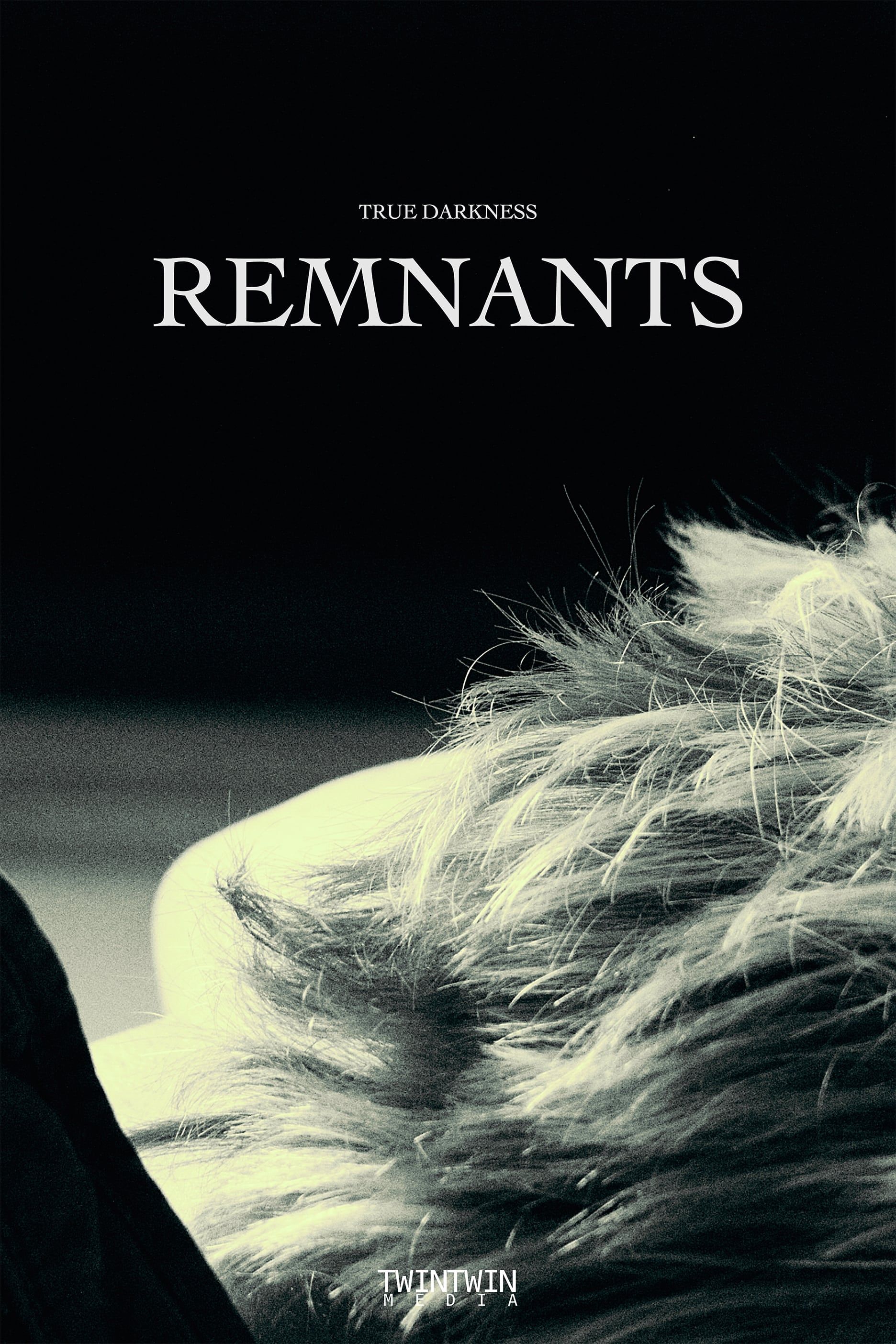Remnant Summary, Latest News, Trailer, Cast, Where to Watch and More