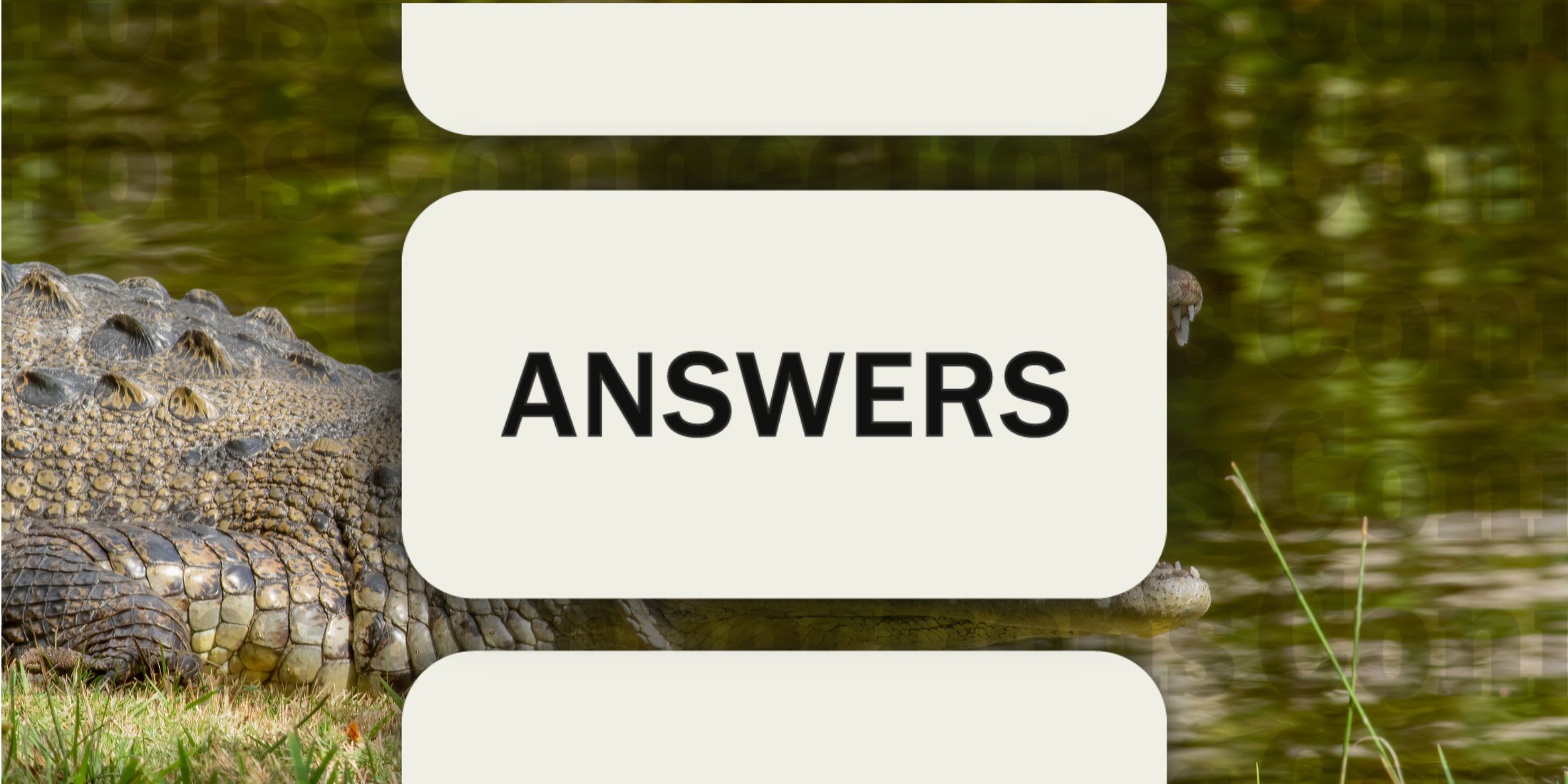 Today's Connections Hints & Answers For December 02, 2024 (Puzzle #540)