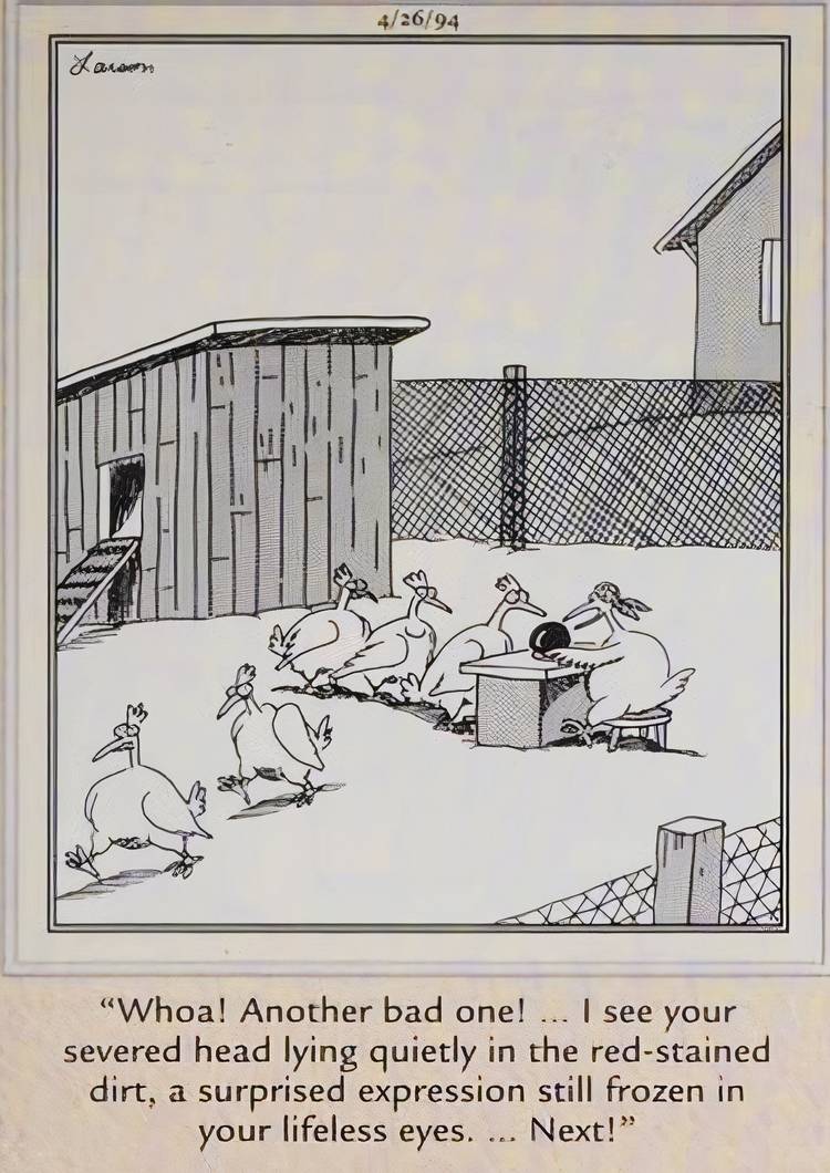 The Far Side: 10 Hilarious Comics Involving Everyone's Favorite Chickens