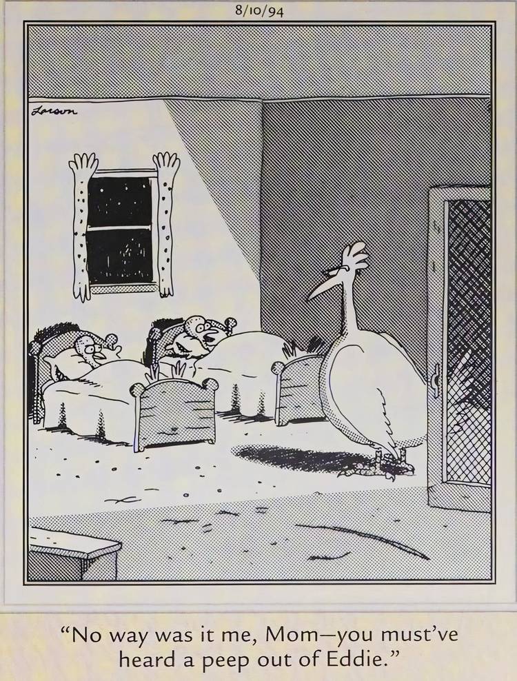 The Far Side: 10 Hilarious Comics Involving Everyone's Favorite Chickens
