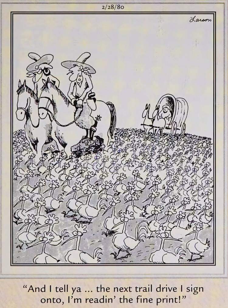 The Far Side: 10 Hilarious Comics Involving Everyone's Favorite Chickens