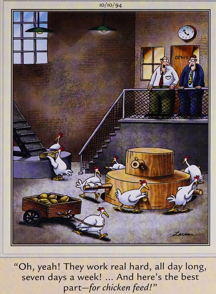 The Far Side: 10 Hilarious Comics Involving Everyone's Favorite Chickens