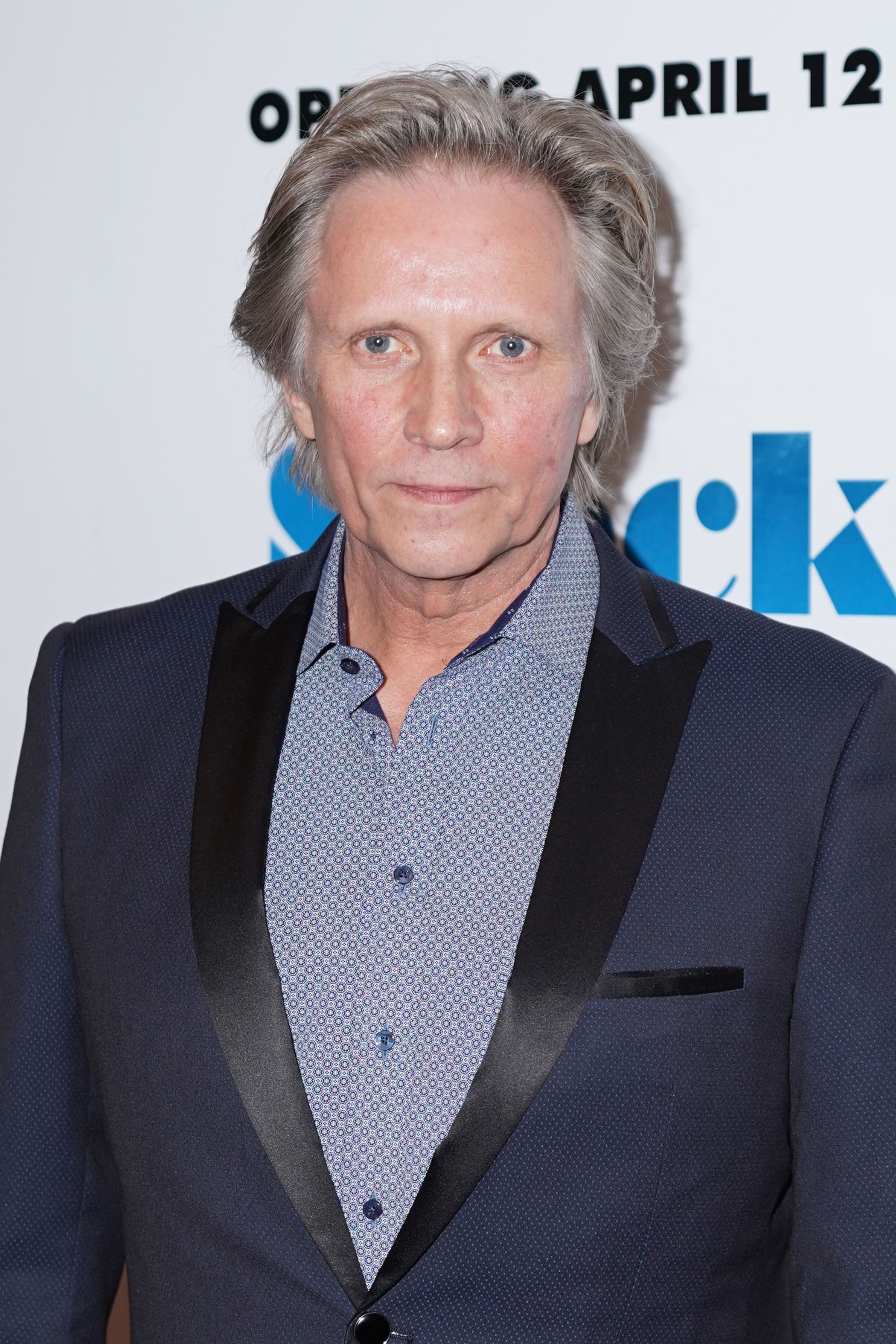 Ready or Not Summary, Latest News, Trailer, Cast, Where to Watch and More