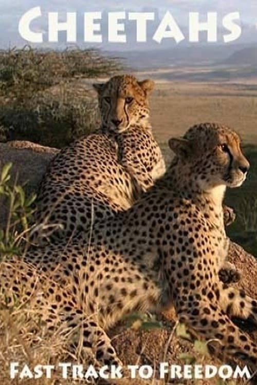 Cheetahs: Fast Track to Freedom Summary, Latest News, Trailer, Cast ...