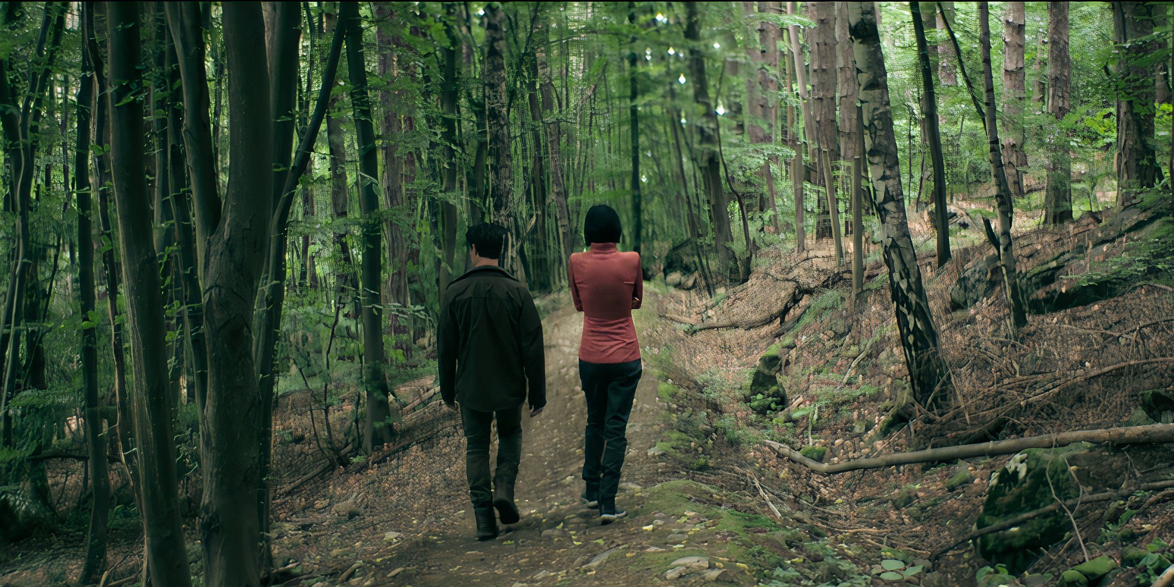 Don't Move Summary, Trailer, Cast, and More