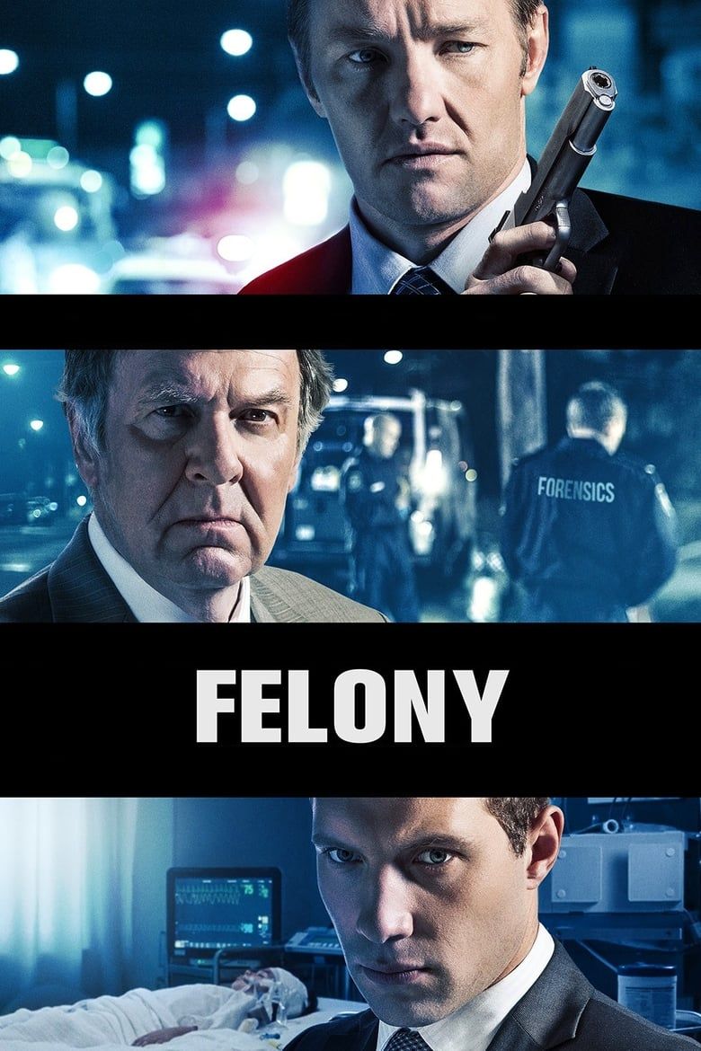 Felony Summary, Latest News, Trailer, Cast, Where to Watch and More