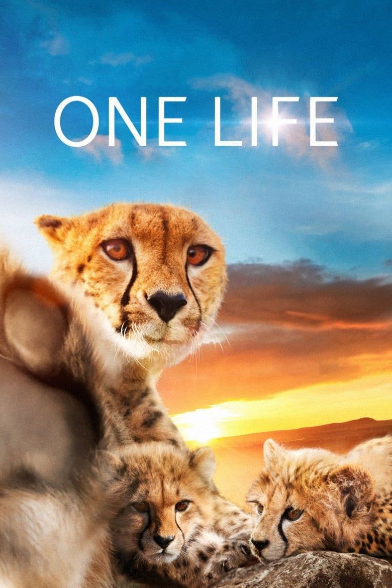 One Life Summary, Latest News, Trailer, Cast, Where to Watch and More