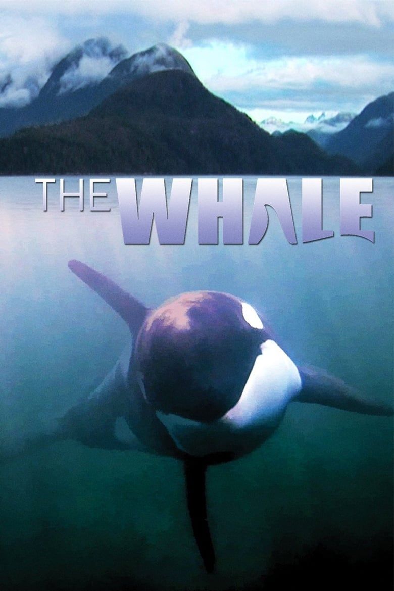 The Whale Summary, Latest News, Trailer, Cast, Where to Watch and More