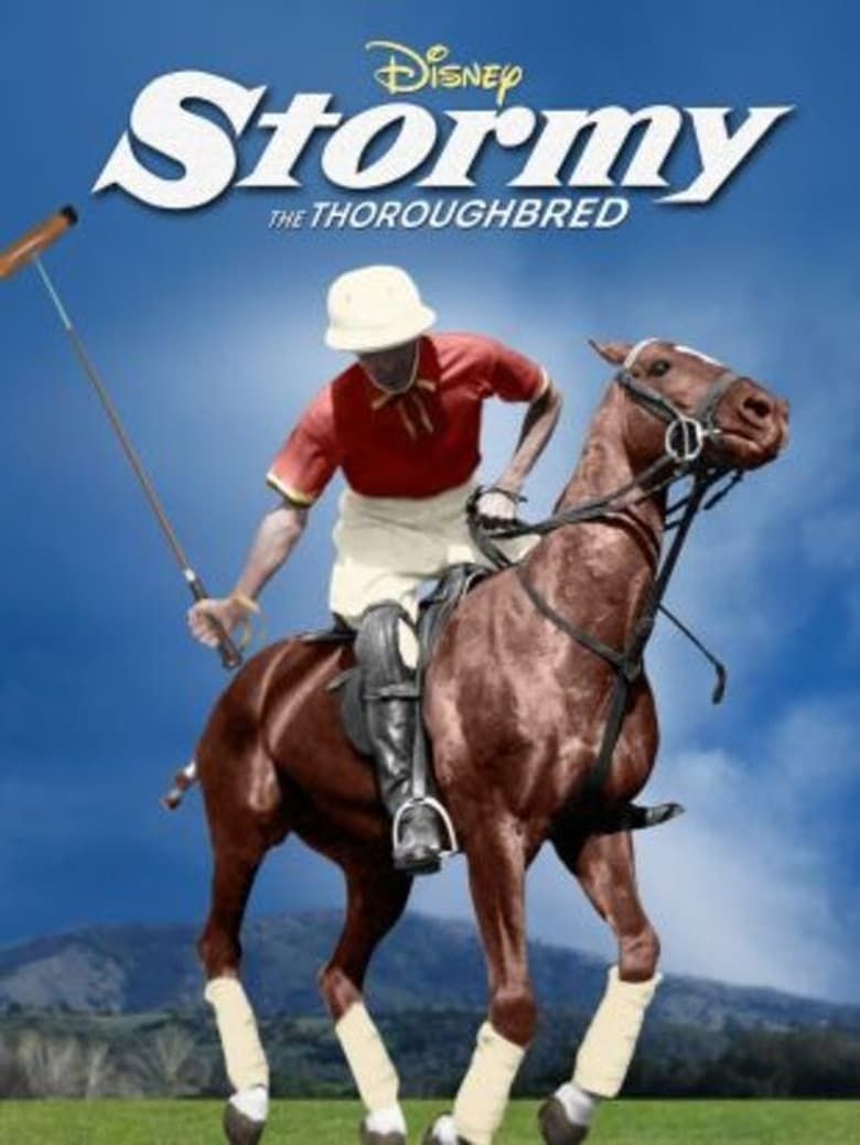 Stormy, the Thoroughbred Summary, Latest News, Trailer, Cast, Where to ...