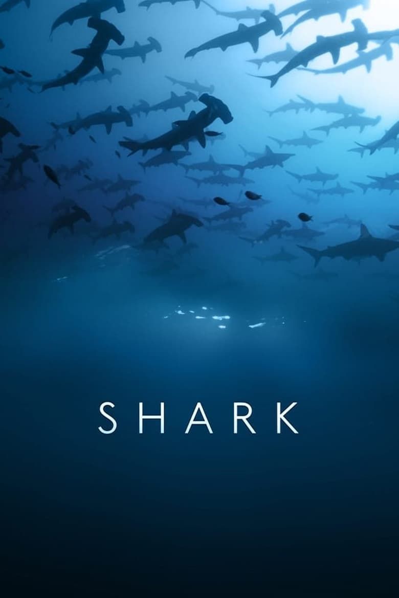 Shark Summary, Latest News, Trailer, Season List, Cast, Where to Watch ...