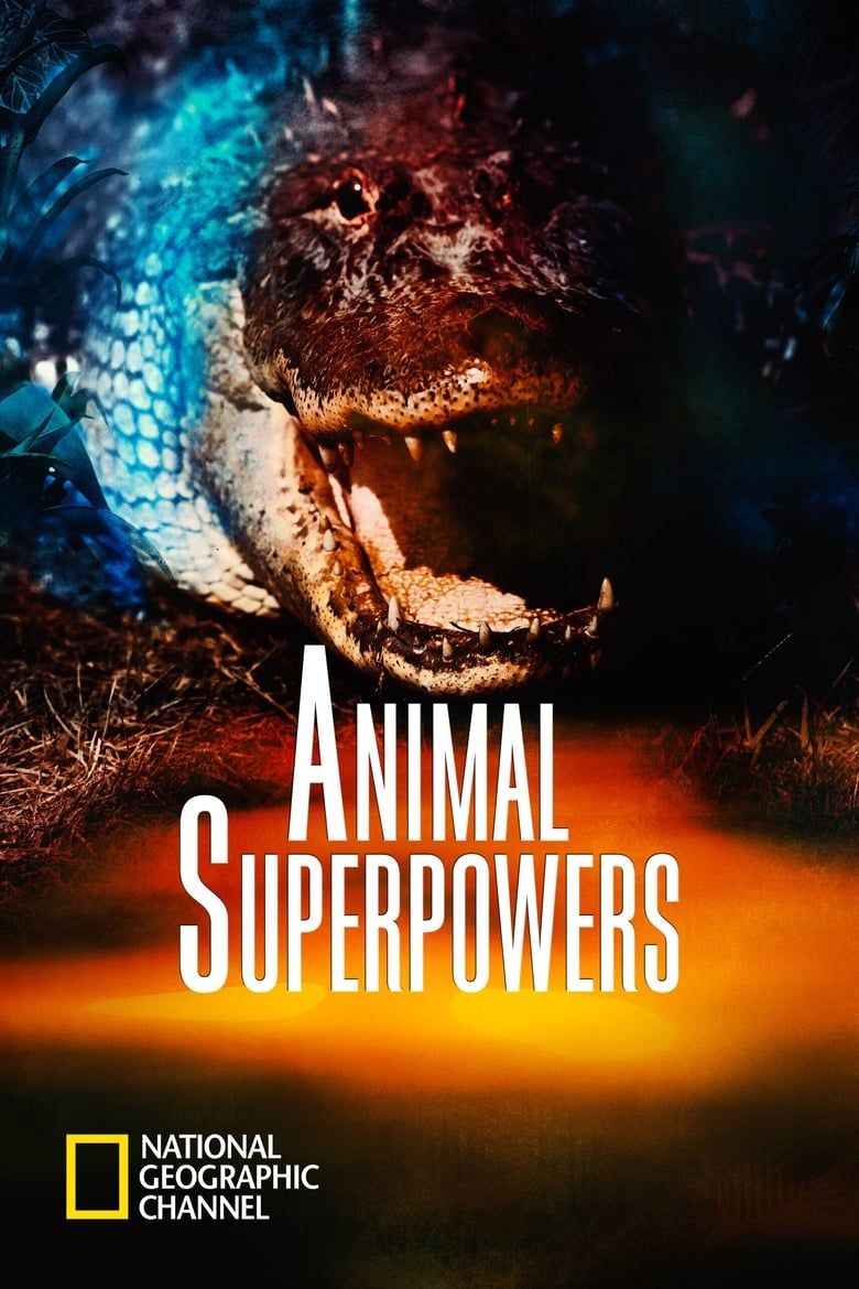 Animal Superpowers Summary, Latest News, Trailer, Season List, Cast ...