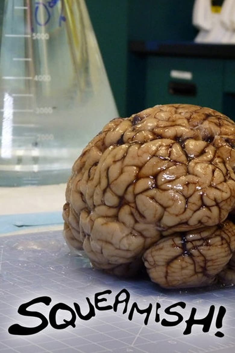 Squeamish! Summary, Latest News, Trailer, Season List, Cast, Where to ...