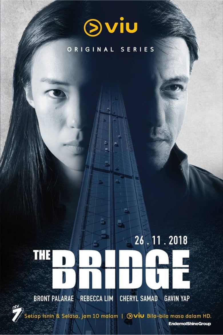 The Bridge Summary, Latest News, Trailer, Season List, Cast, Where to ...