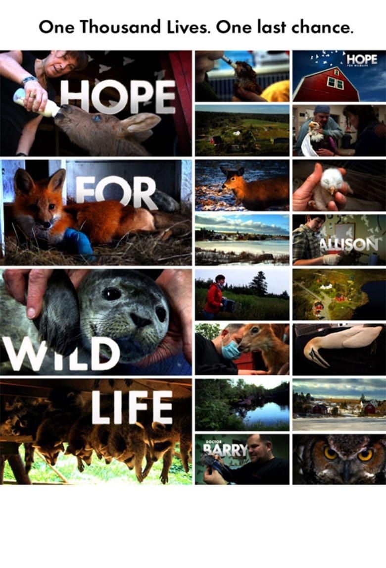 Hope for Wildlife Summary, Latest News, Trailer, Season List, Cast ...