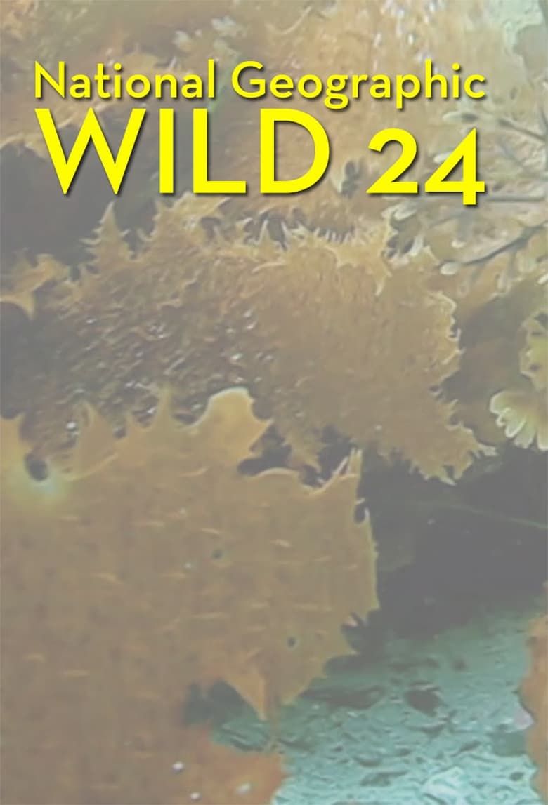 Wild 24 Summary, Latest News, Trailer, Season List, Cast, Where to ...