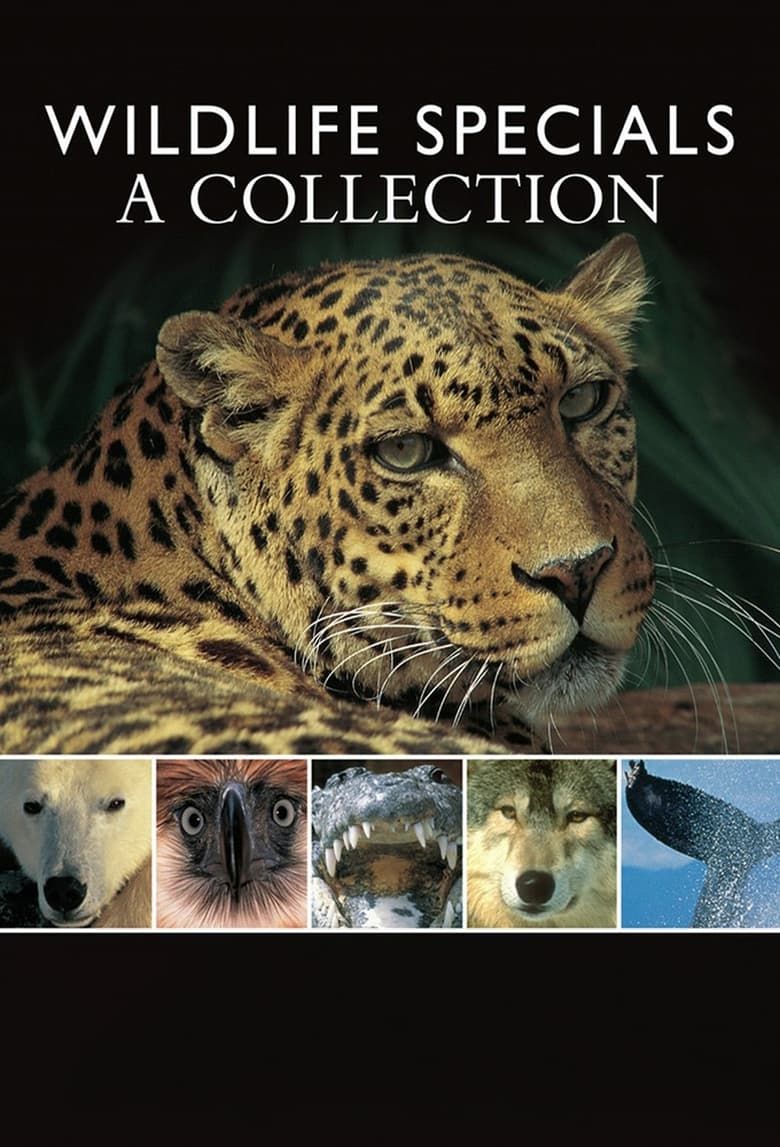 Wildlife Specials Summary, Latest News, Trailer, Season List, Cast ...