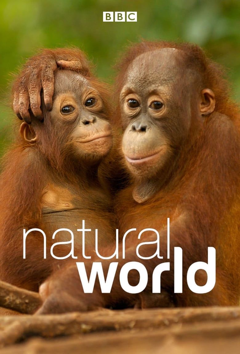 Natural World Summary, Latest News, Trailer, Season List, Cast, Where ...
