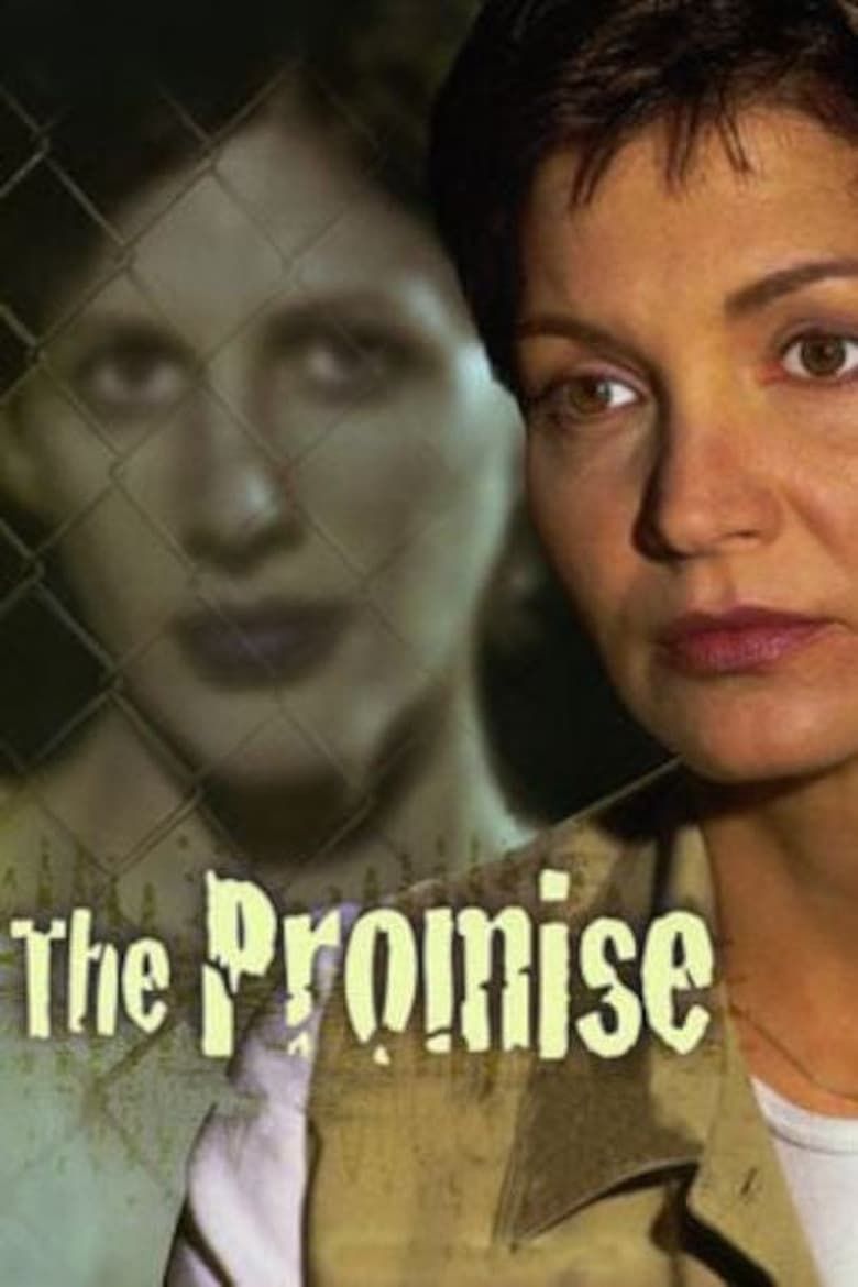 The Promise Summary, Latest News, Trailer, Season List, Cast, Where to ...