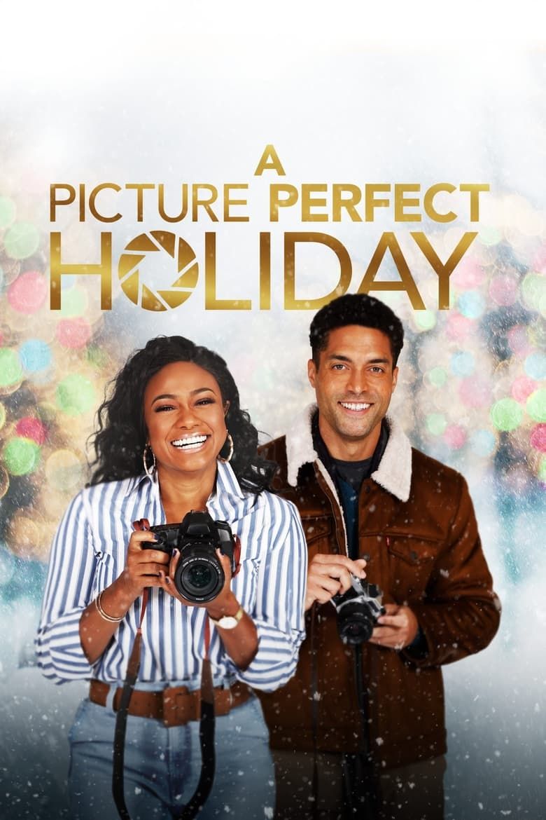 A Picture Perfect Holiday Summary, Latest News, Trailer, Season List ...