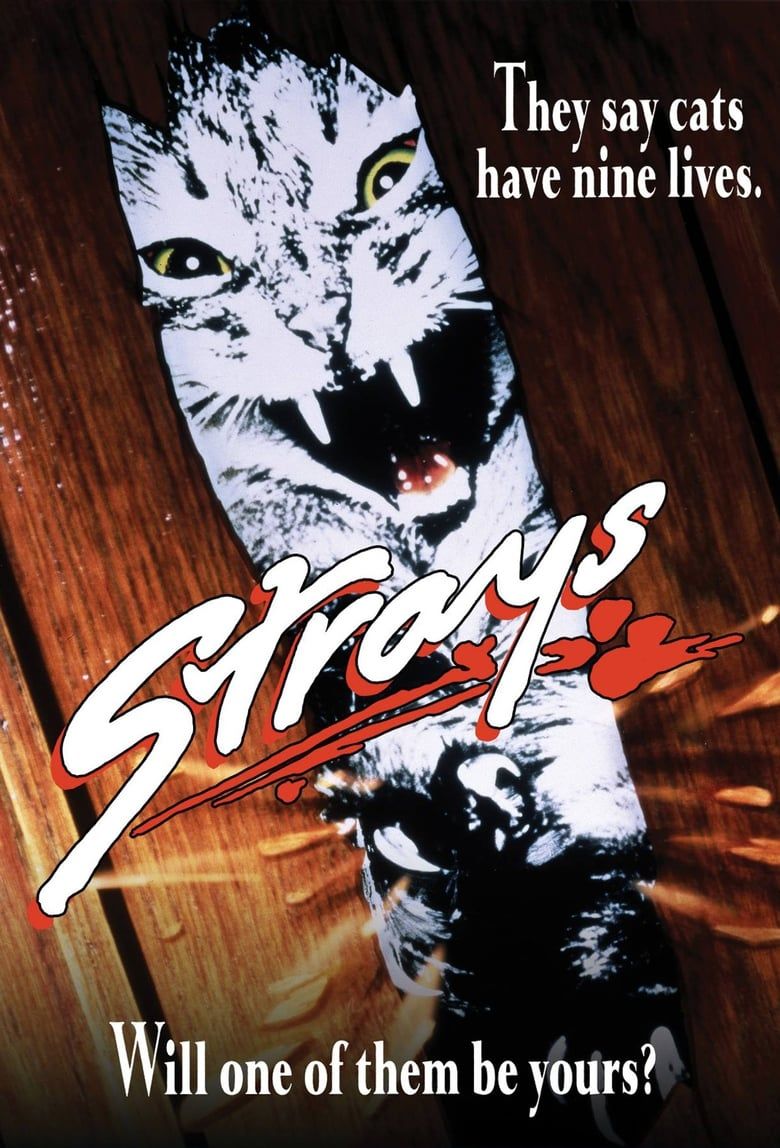 Strays Summary, Latest News, Trailer, Season List, Cast, Where to Watch ...