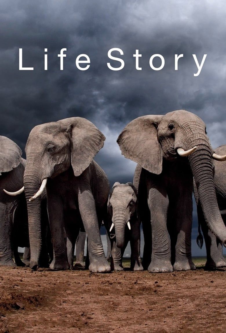 Life Story Summary, Latest News, Trailer, Season List, Cast, Where to ...