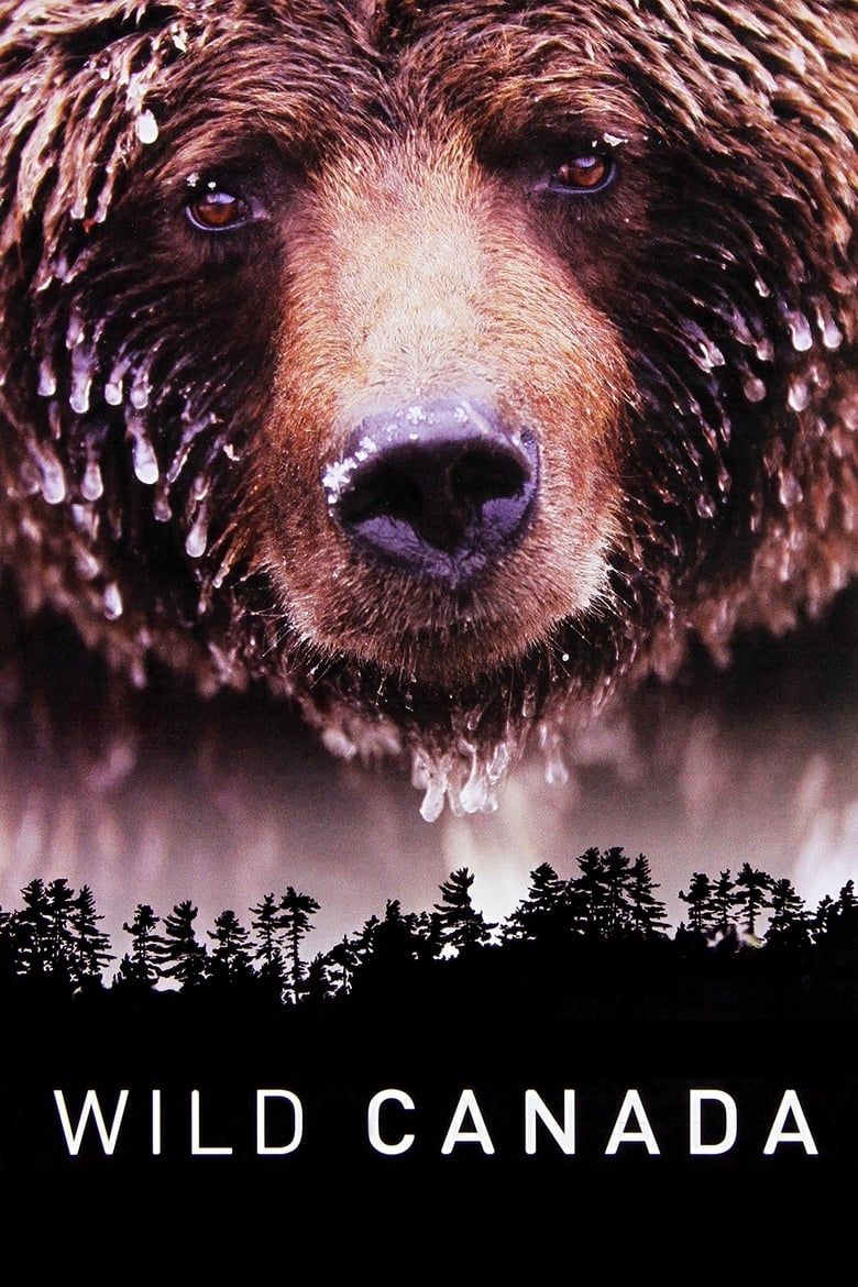 Wild Canada Summary, Latest News, Trailer, Season List, Cast, Where to ...